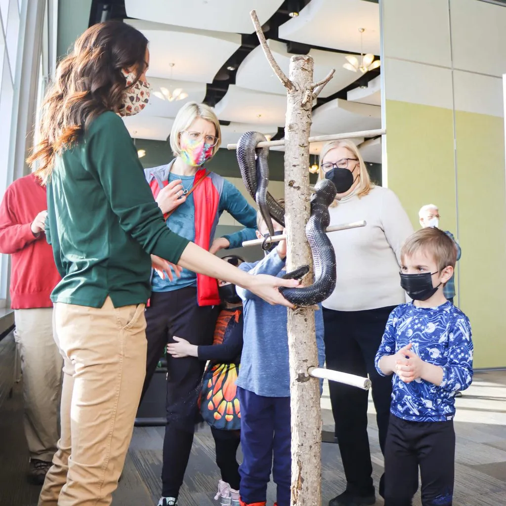 Traveling Zoo Program Request Form – Presentation Style | John Ball Zoo