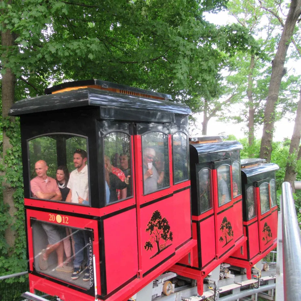 Forest Realm | John Ball Zoo