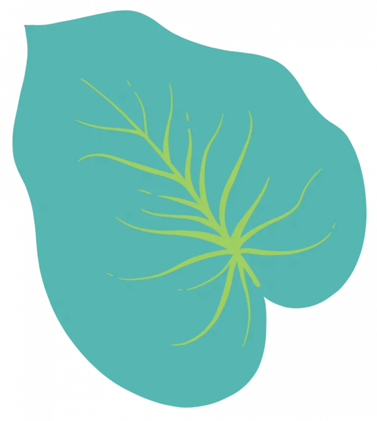 Staff | John Ball Zoo