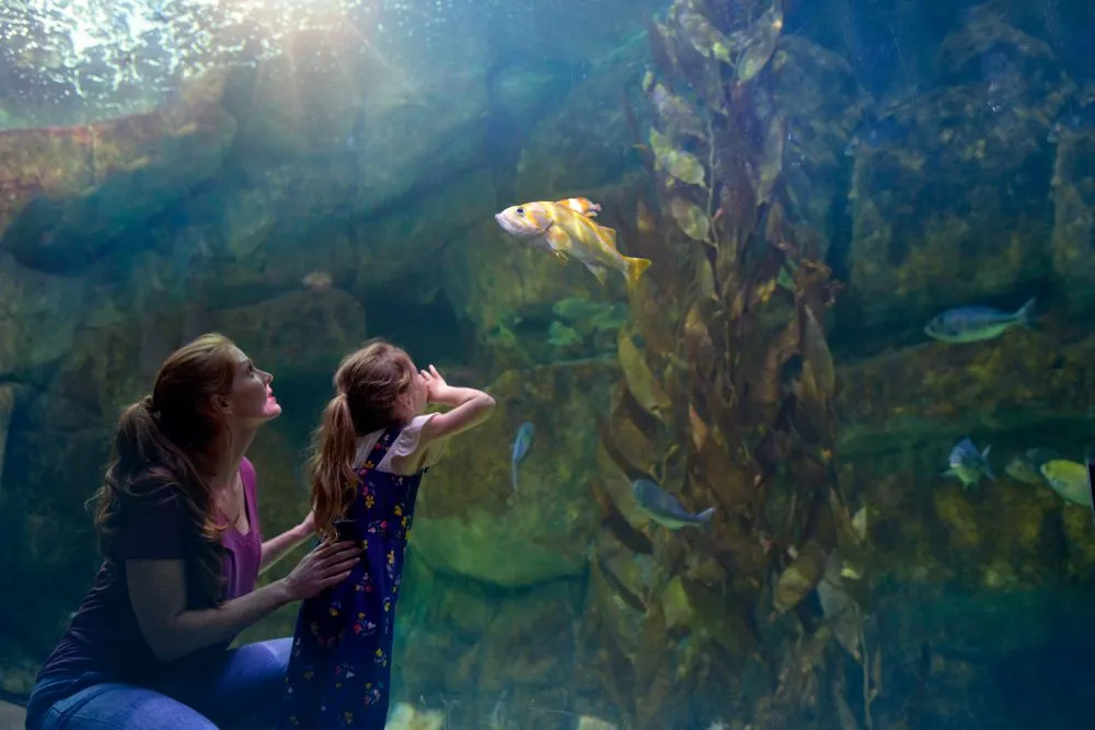 Study Shows John Ball Zoo Aquarium Should Be Located In Kent County ...