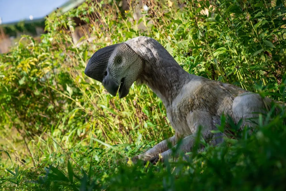 ZOO GOES BOO | John Ball Zoo