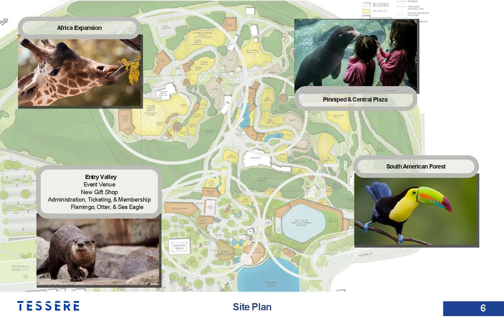 Master Plan | John Ball Zoo
