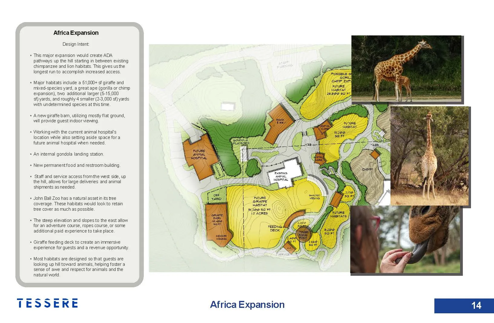Master Plan | John Ball Zoo