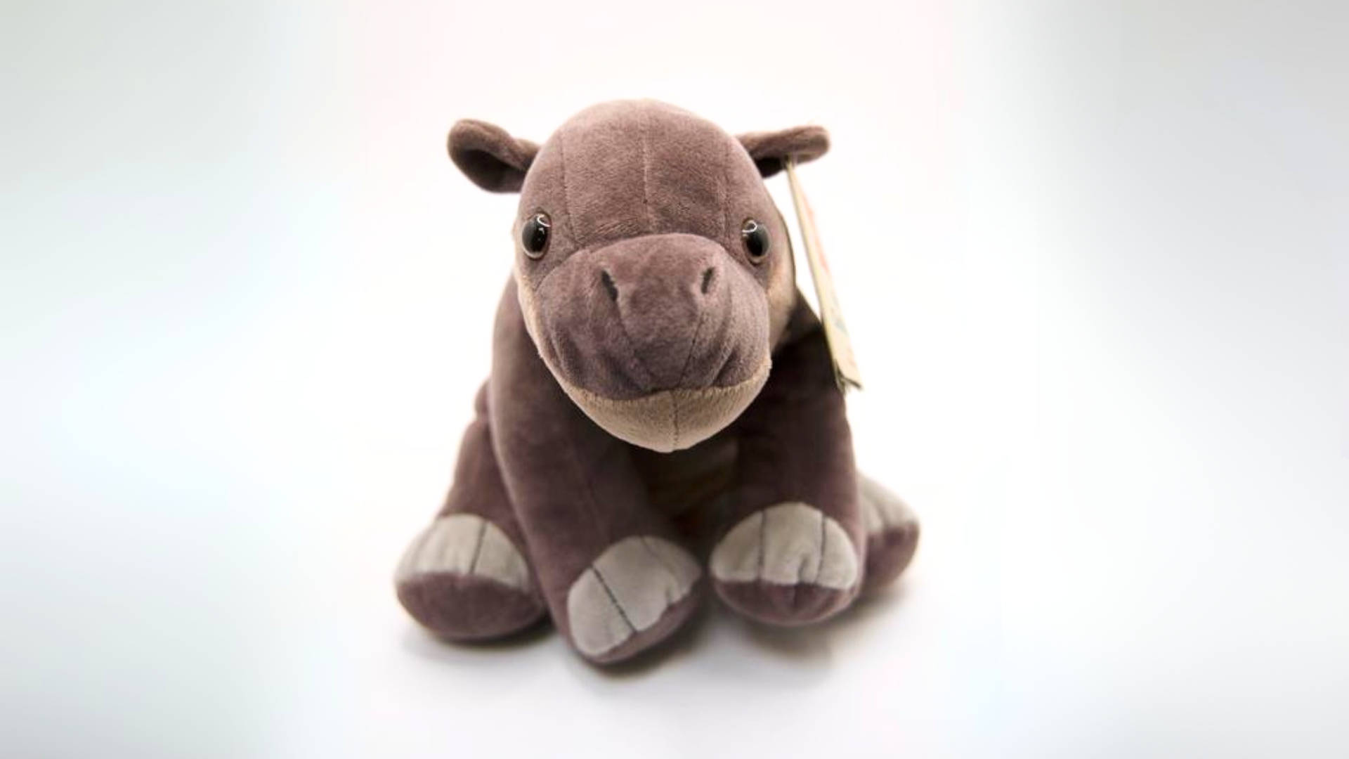 Pygmy Hippo 8" Plush | John Ball Zoo