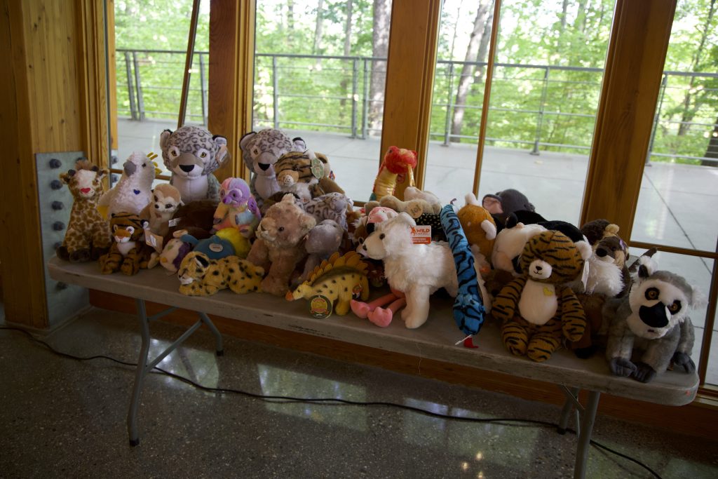 Zoo Staff Brings Imperfect Stuffed Animal Joy To Young Patients At ...