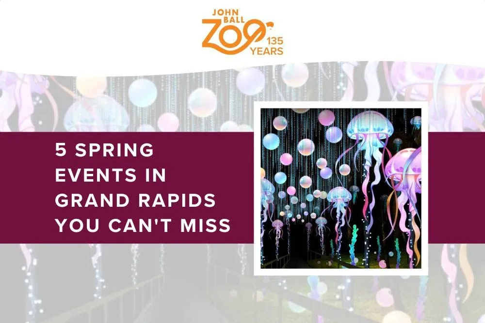 5 Spring Events In Grand Rapids You Can't Miss | John Ball Zoo