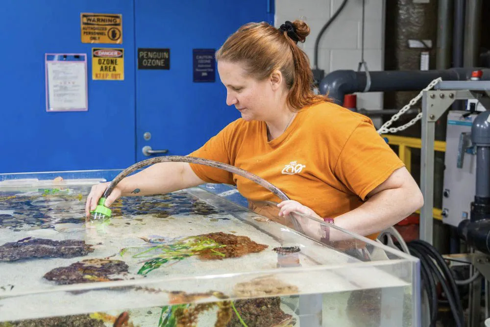 What Is An AZA Accreditation? What Does It Mean For Zoos? | John Ball Zoo