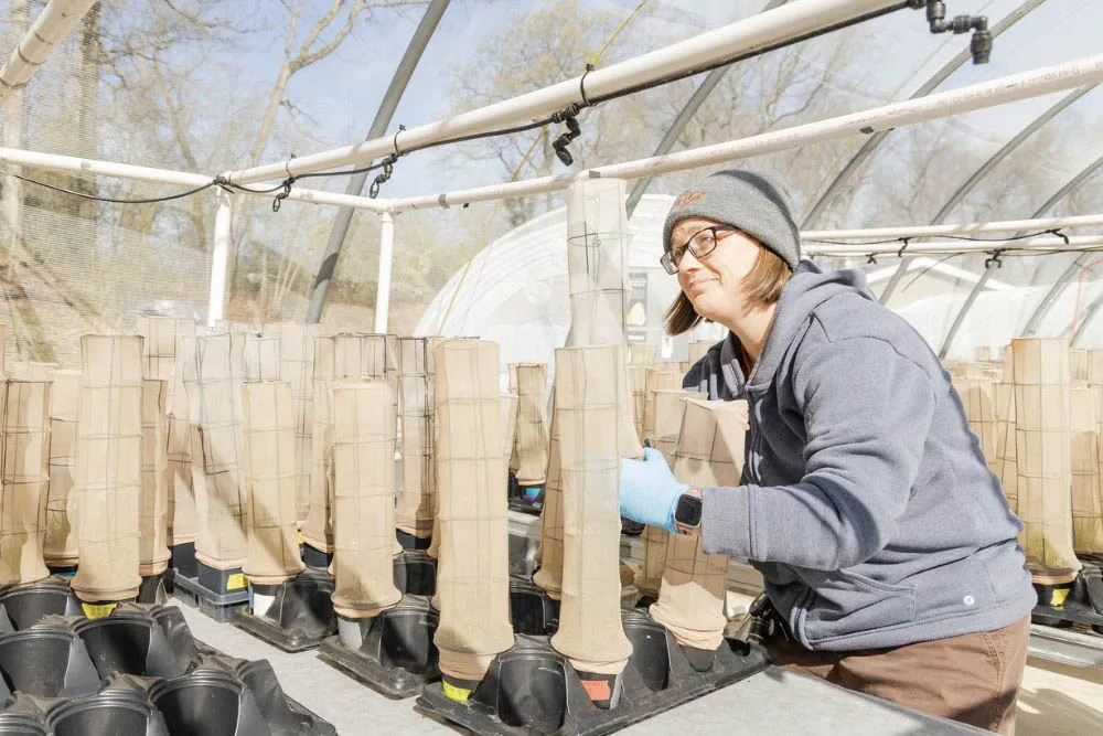 What Is An AZA Accreditation? What Does It Mean For Zoos? | John Ball Zoo