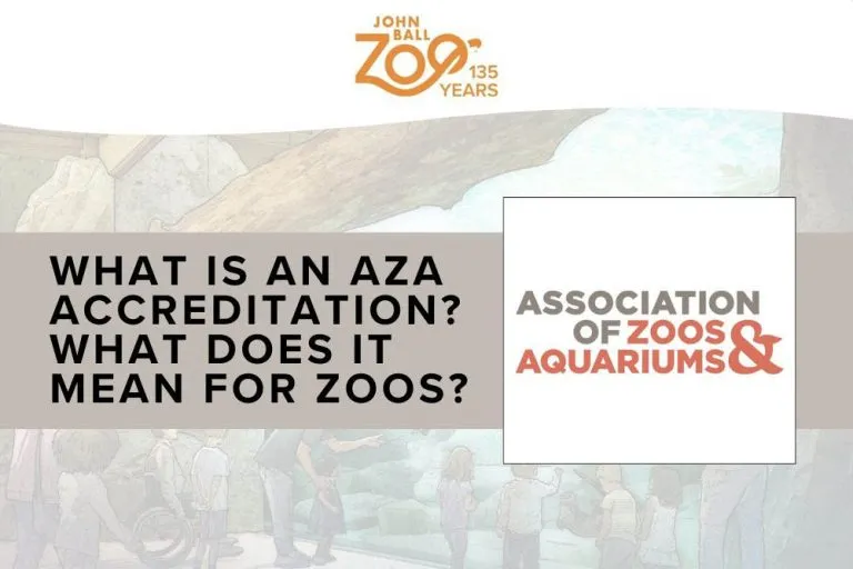 What Is An AZA Accreditation? What Does It Mean For Zoos? | John Ball Zoo
