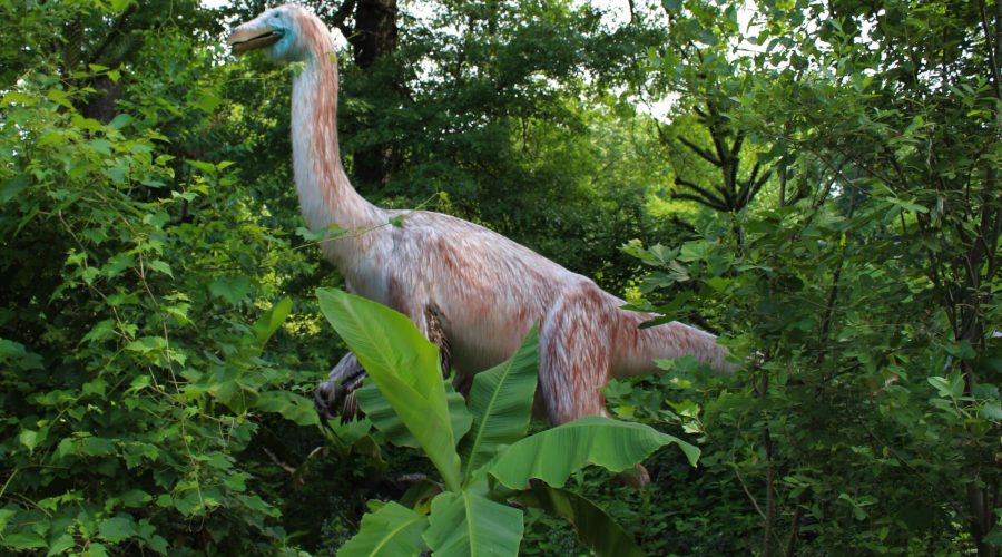 DINO ADVENTURES | John Ball Zoo