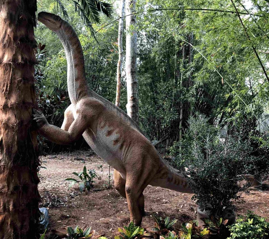 DINO ADVENTURES | John Ball Zoo