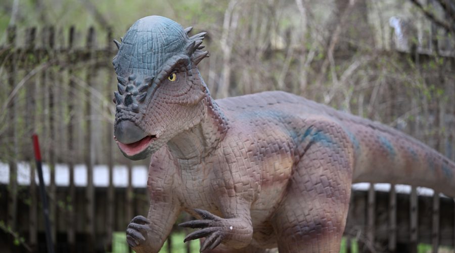 DINO ADVENTURES | John Ball Zoo