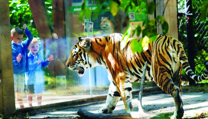 Membership | John Ball Zoo